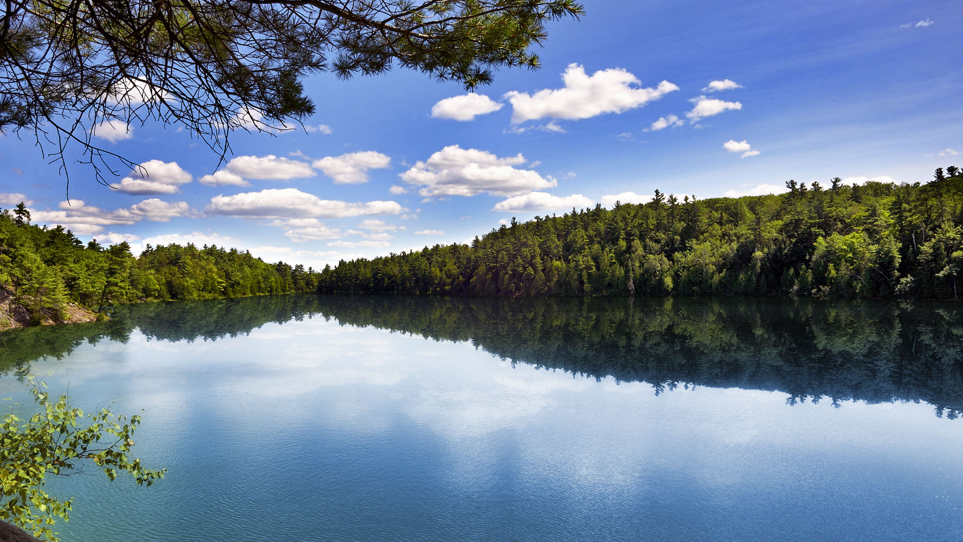 Discovering Languages: Using Social Media to Learn and Promote ...